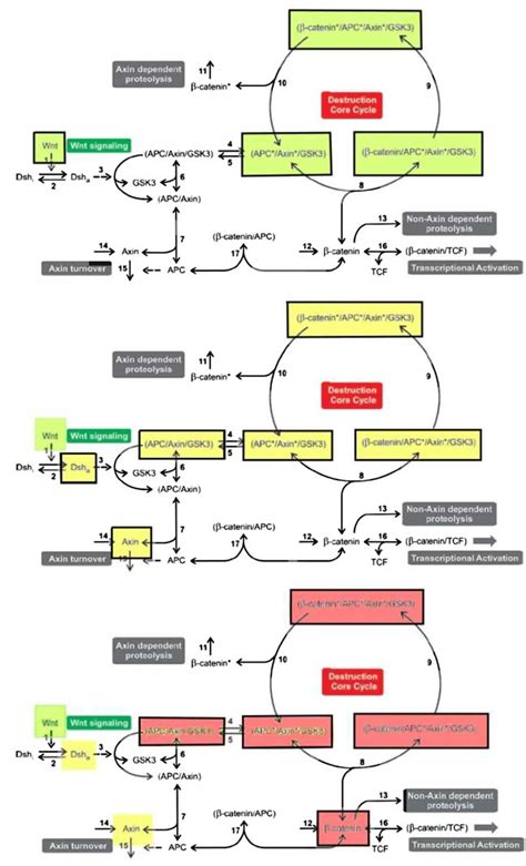 Components Of The Signalling Pathway Which Vary Over Short Top