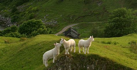 O2 Network Coverage Checker 2g 3g 4g And 5g Coverage