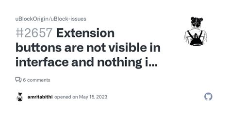 Extension Buttons Are Not Visible In Interface And Nothing Is Blocked Issue