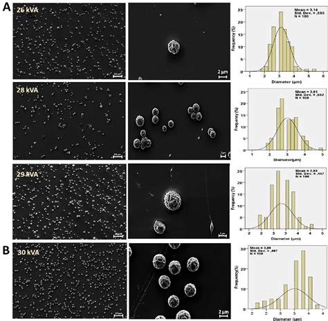 Figure 3 From Production Optimization And Characterization Of