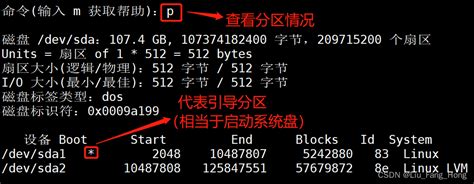 磁盘管理与文件系统 系统盘文件系统 csdn博客