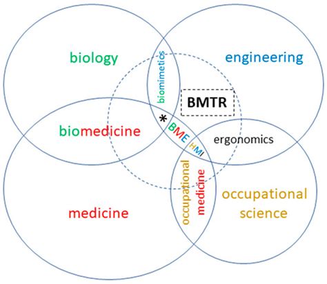 The Interplay Of Biomimetics And Biomechatronics