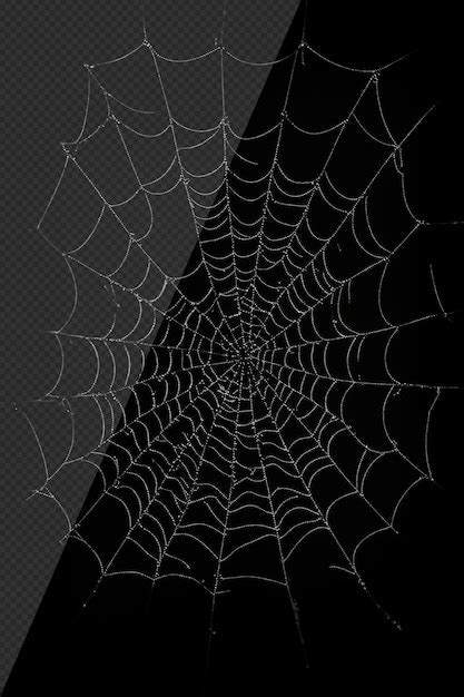 Premium Psd Photorealistic Cobweb