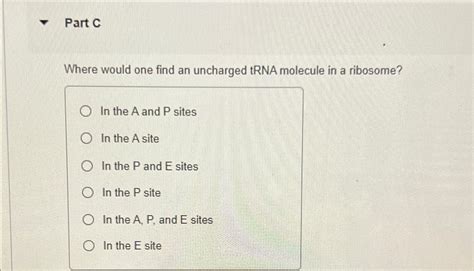 Solved Part CWhere Would One Find An Uncharged TRNA Molecule Chegg Com