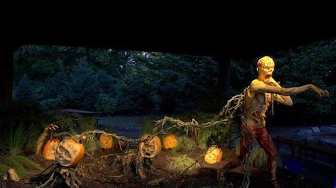 Тиквени зомбита плашат Ню Йорк снимки Новини бг