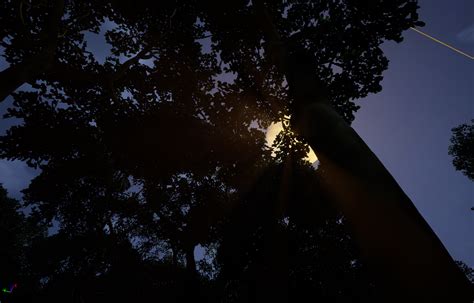 Devlog Introducing Dynamic Weather And A Daynight Cycle