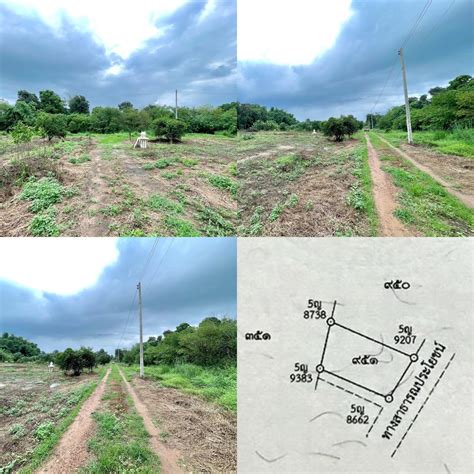 ขายสวนมะยงชิดติดถนน 3 งาน ต ดงละคร อ เมือง จ นครนายก ใกล้วัดมณีวงศ์ ที่ดินร้อยแปด คอม