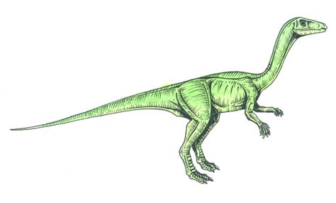 Procompsognathus Reptiles Wiki Fandom Procompsognathus Reptiles Wiki Fandom
