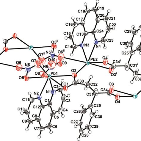 A View Of The Molecular Structure Of The Complex Symmetry Codes I