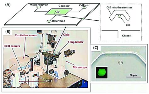Schematic Diagram Of The Layout And Instrument Setup Of The Download Scientific Diagram