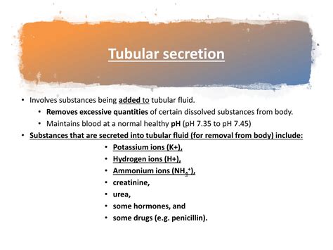 Lecture Unit 2 Excretion And Osmoregulation Complete Pptx