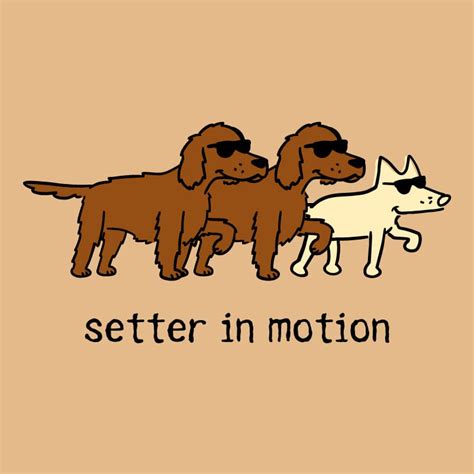 Setter In Motion Classic Tee Akc Shop
