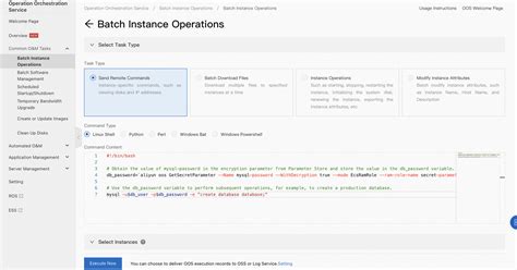 Use The Encryption Parameter To Manage A Password In A Cloud Assistant Script That Runs On