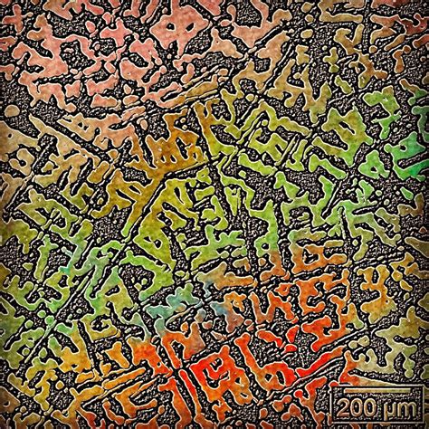 Dendrite Microstructure Of A Nickel Base Superalloy Gimp Edited Ciencias