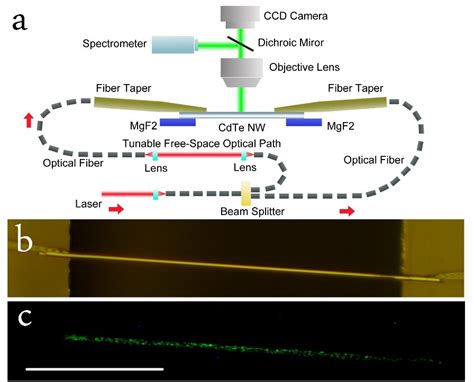 Nanophotonics Research Group Zhejiang University