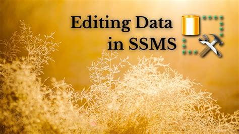 Editing Data Directly In Ssms