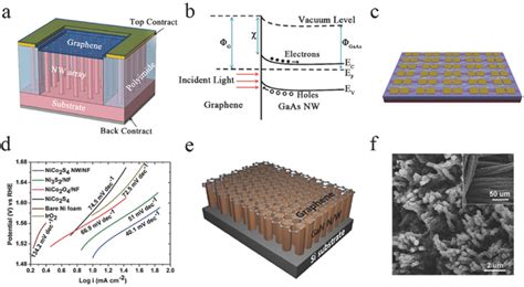 A The Schematic Of The Graphene Gaas Nw Array Photodetector B The Download Scientific