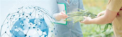 Causal Links Find Complex Causal Links To Find Solutions