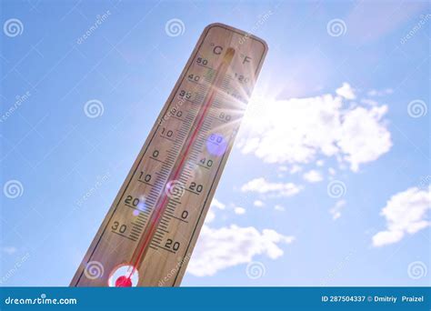 The Thermometer On The Background Of Red Roses Shows Plus 20 Degrees