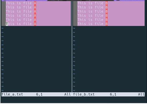 Diff File With Vim Net Thailand