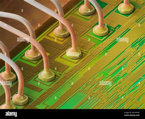Microchip Connectors Coloured Scanning Electron Micrograph Sem