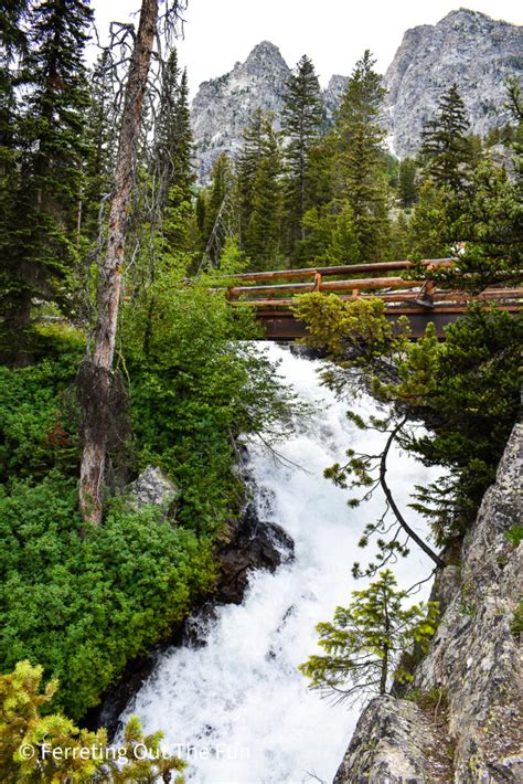 How To Spend One Day In Grand Teton National Park Ferreting Out The Fun