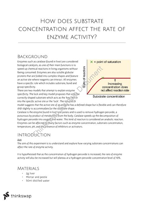 Lab Report The Effect Of Substrate Concentration On Enzyme Activity Biology Year 12 Vce