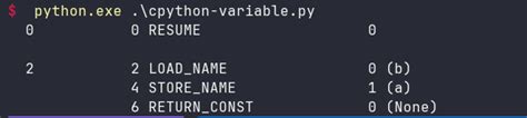 Python底层原理 CPython的变量实现机制 wang yb 博客园