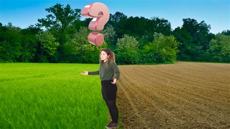 Comparing Conversions And Greenfield Approach For Sap S 4hana