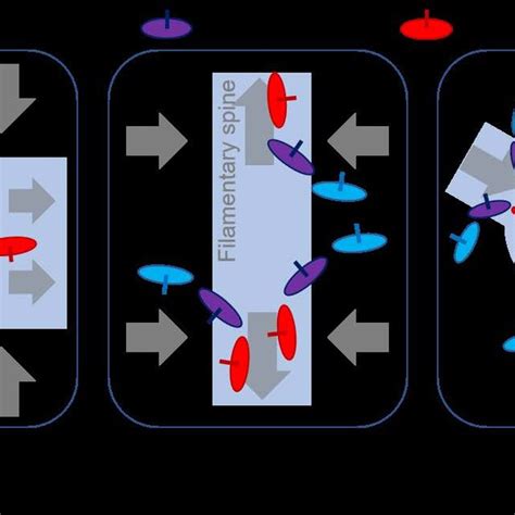 Schematic Diagram Describing The Connection Between Spinorbit Download Scientific Diagram