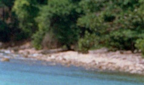 Rum News Treasure Island Is Getting Sexy UK News Express Co Uk