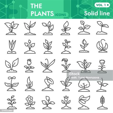 식물 선 아이콘 세트 원예 기호 컬렉션 또는 스케치 웹에 대한 모종 및 새싹 기호 흰색 배경에 격리 선형 스타일 픽토그램 패키지 벡터 그래픽 아이콘에 대한 스톡 벡터 아트