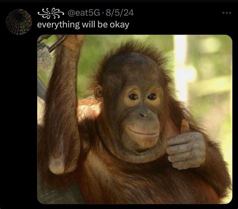 Monkey Pointing Finger