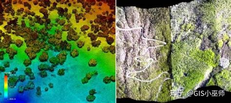 排名前 6 位的免费 LiDAR 数据源 知乎