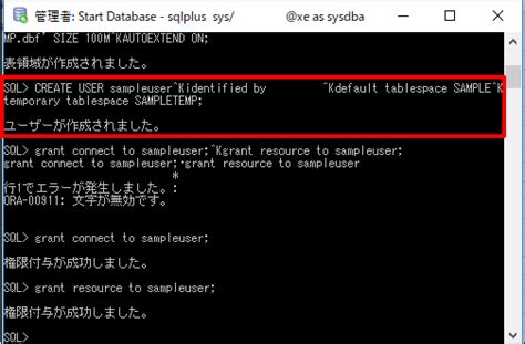 Oracle Sql Developerの初期設定手順をまとめてみた！ きままブログ