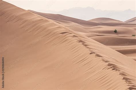 Unsurpassed Sand Dunes In Dasht E Lut Lut Desert The Hottest Desert