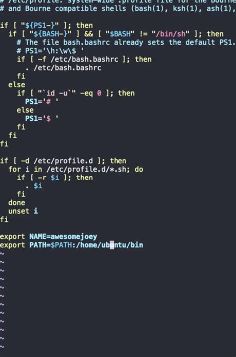 [리눅스] 특별한 환경변수 Path