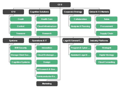 Ibm Organizational Chart For Free Download