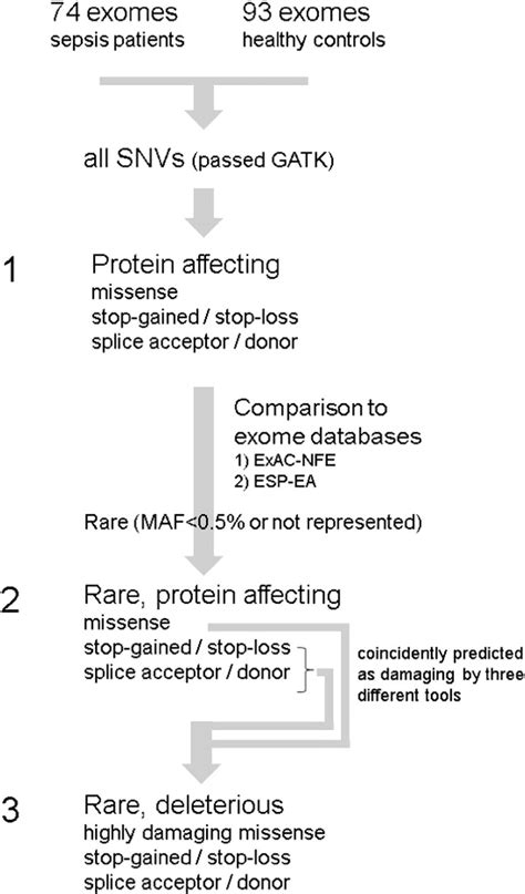 workflow of variant filtering in three steps snv single nucleotide