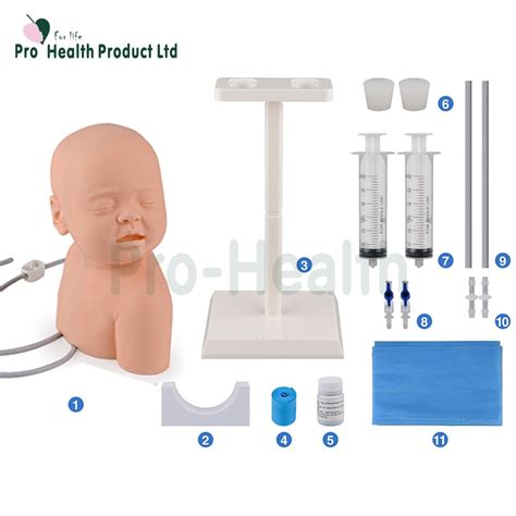 Infant Scalp Intravenous Iv Injection Practice Model Simulated Pediatric Head With Venous