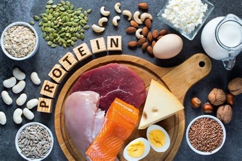 5 Easy Ways To Add More Protein Into Your Diet Brainflow