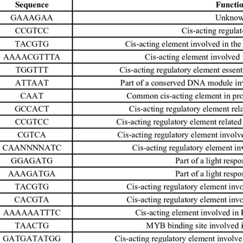 Identified Cis Regulatory Elements And Associated Function In The Download Scientific Diagram