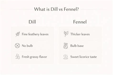 How To Identify Dill Vs Fennel 4 Key Differences Guide Greenery Inside