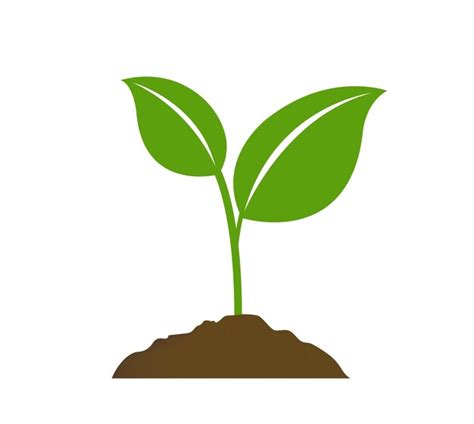 Premium Vector Green Sprout Logo With White Background