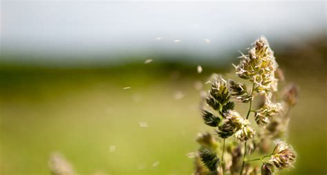 Hormone Balancing Articles