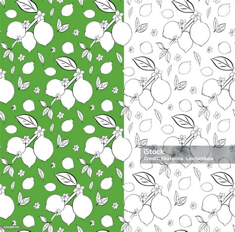 구연산 레몬 가지 잎과 흰 꽃 완벽 한 패턴 벡터 그래픽 라인 잉크 투명 배경에 흑인과 백인 그림 메뉴 패키지 화장품 섬유