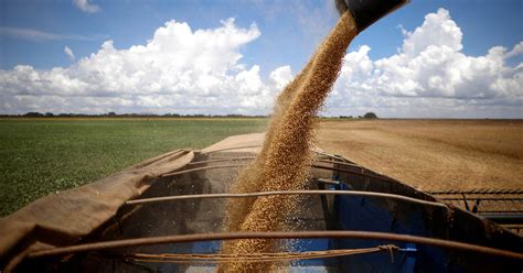 Shrinking Brazilian Soy Harvest Balanced By Creep Up Of Prior Crop Reuters