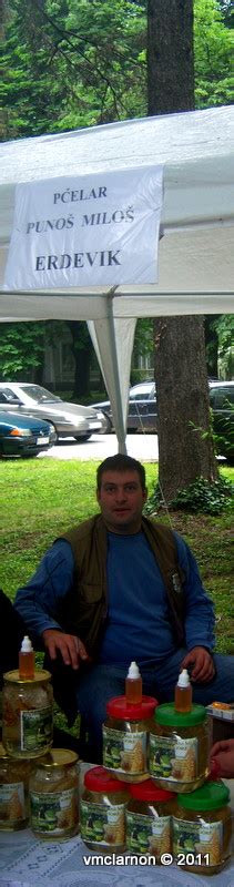 Erdevik Visual Diary Erdevik Sremska Kulenijada