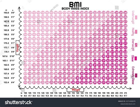 Bmi Body Mass Index Chart Royalty Free Stock Vector Avopix Com
