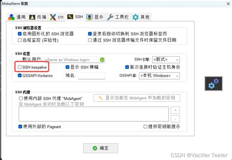 linux ubuntu 环境搭建：远程终端软件 mobexterm mobaxterm ubuntu下载 csdn博客